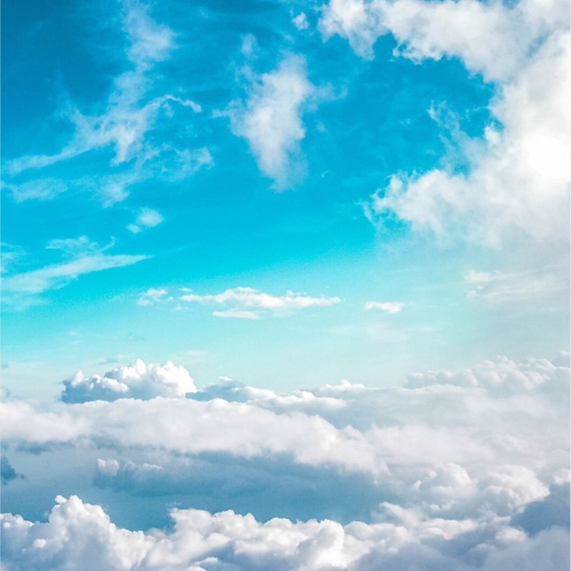 スポンサー一覧 【能登半島地震】祖父母の代から続くブルーベリー産業を次の世代に！（平 美由記） - クラウドファンディング READYFOR